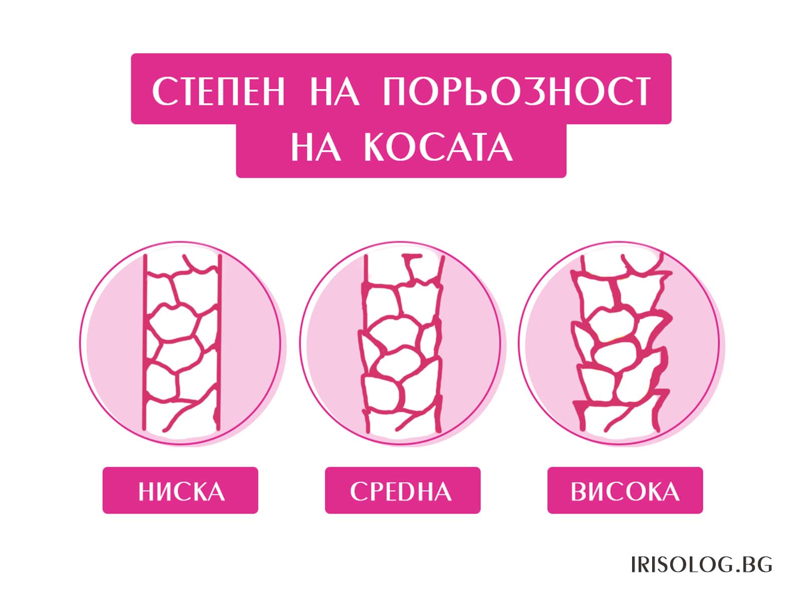 Професионални серии за коса - Тема 162 | Козметика и мода | Страница 26 ...