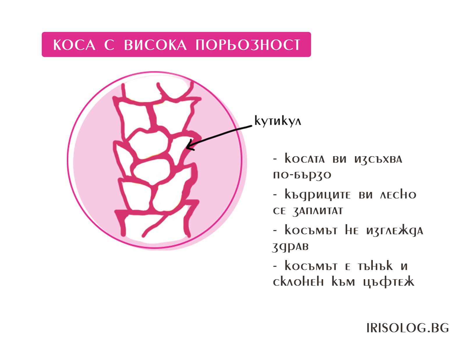 Професионални серии за коса - Тема 162 | Козметика и мода | Страница 26 ...